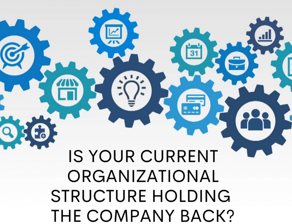 Policy and Performance: How to Improve Your Organizational Structure ...